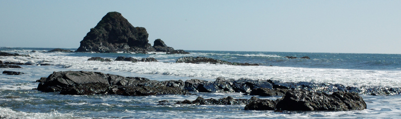 Cabin 5 on the Bluff Vacation Rental